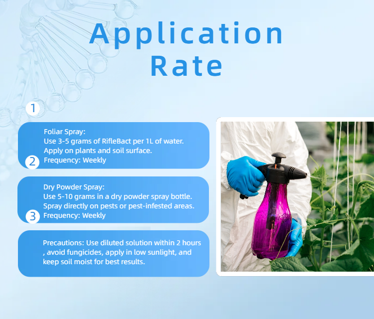 AGROSTAR Riflebact Organic Microbial Fungus Based Insecticide Parasitic ...