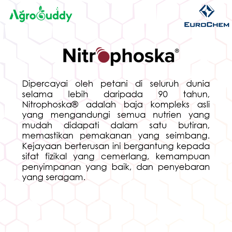 AgroBuddy 1kg Eurochem Nitrophoska 15-15-15 12-12-17-2 Compound | Baja ...