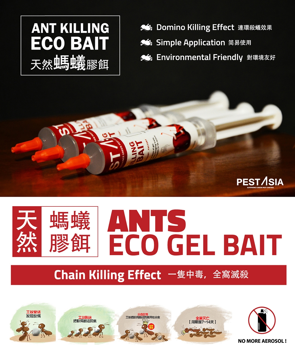 BMY Eco Friendly Gel Ant Bait. Anti Ant Bait. Insects Wipe Out Gel Eco ...