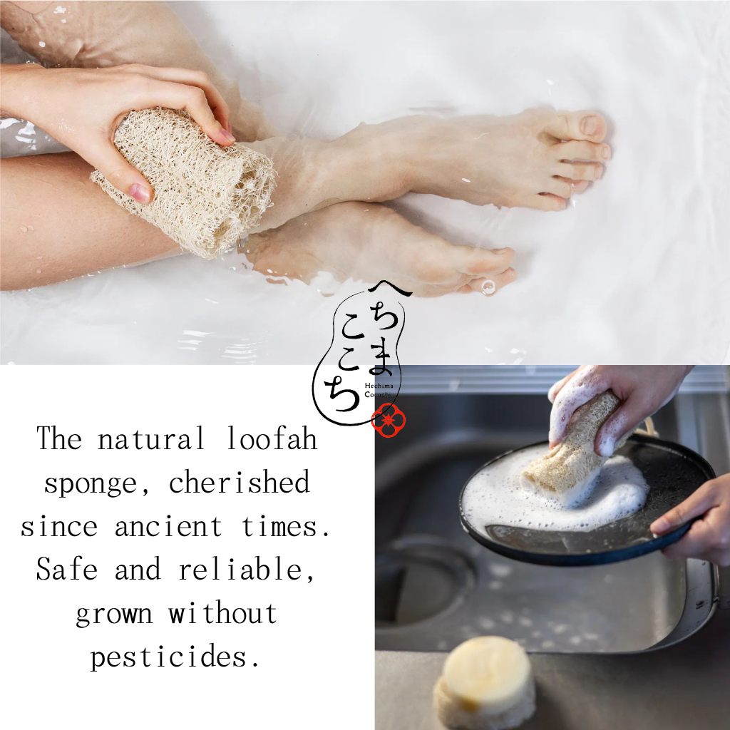 Hechima Cocochi 100% Domestic Luffa (Loofah) Sponge For Body ...