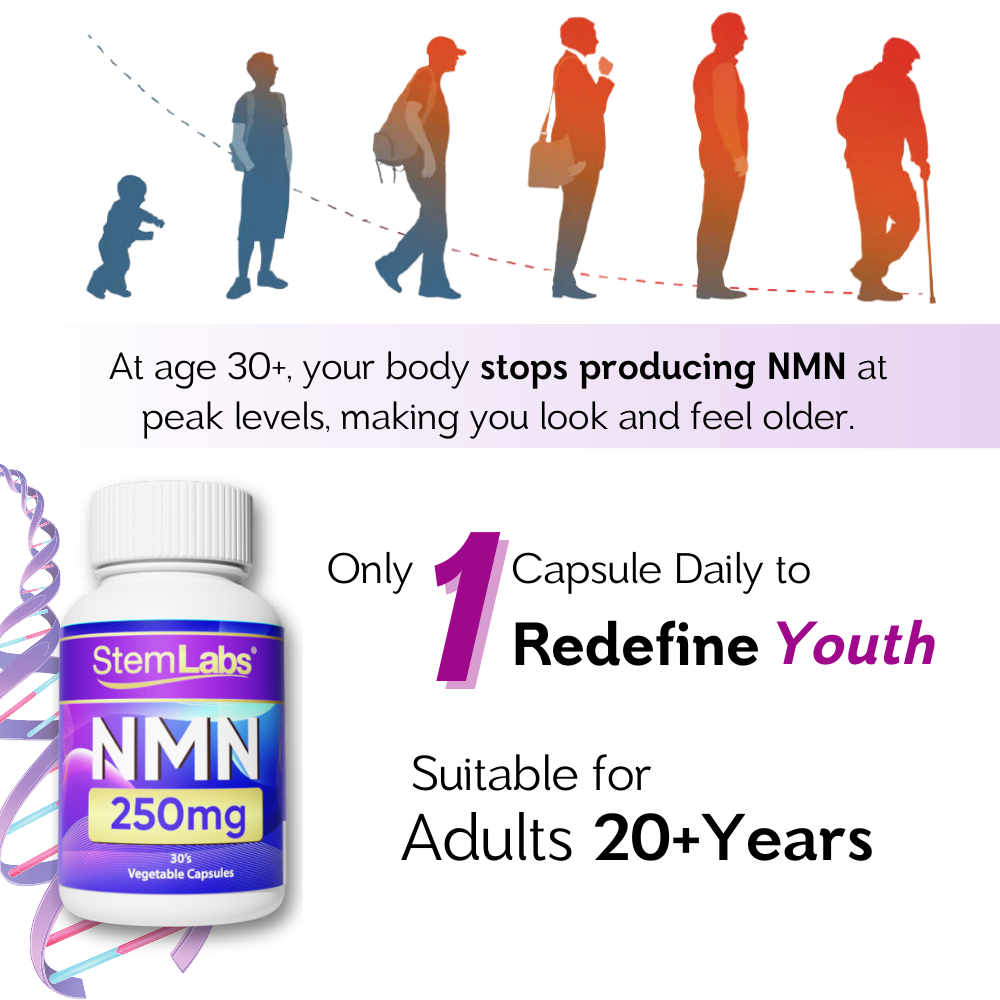 JAKIM HALAL KKM StemLabs NMN 250mg 30's Supplement Uthever Energy Boost ...