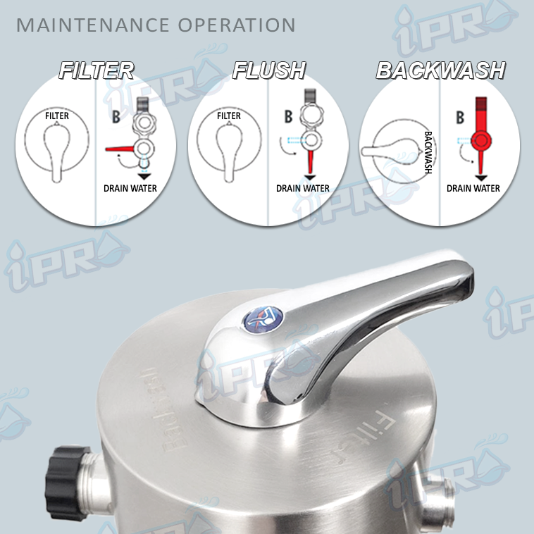 IPRO 5 in 1 Outdoor Double Backwash Whole House Water Filter ...