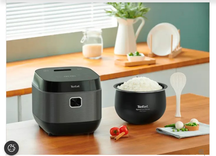 Tefal 1.8L Delirice Plus Fuzzy Logic Rice Cooker RK776B (10 cups) | Shopee Malaysia