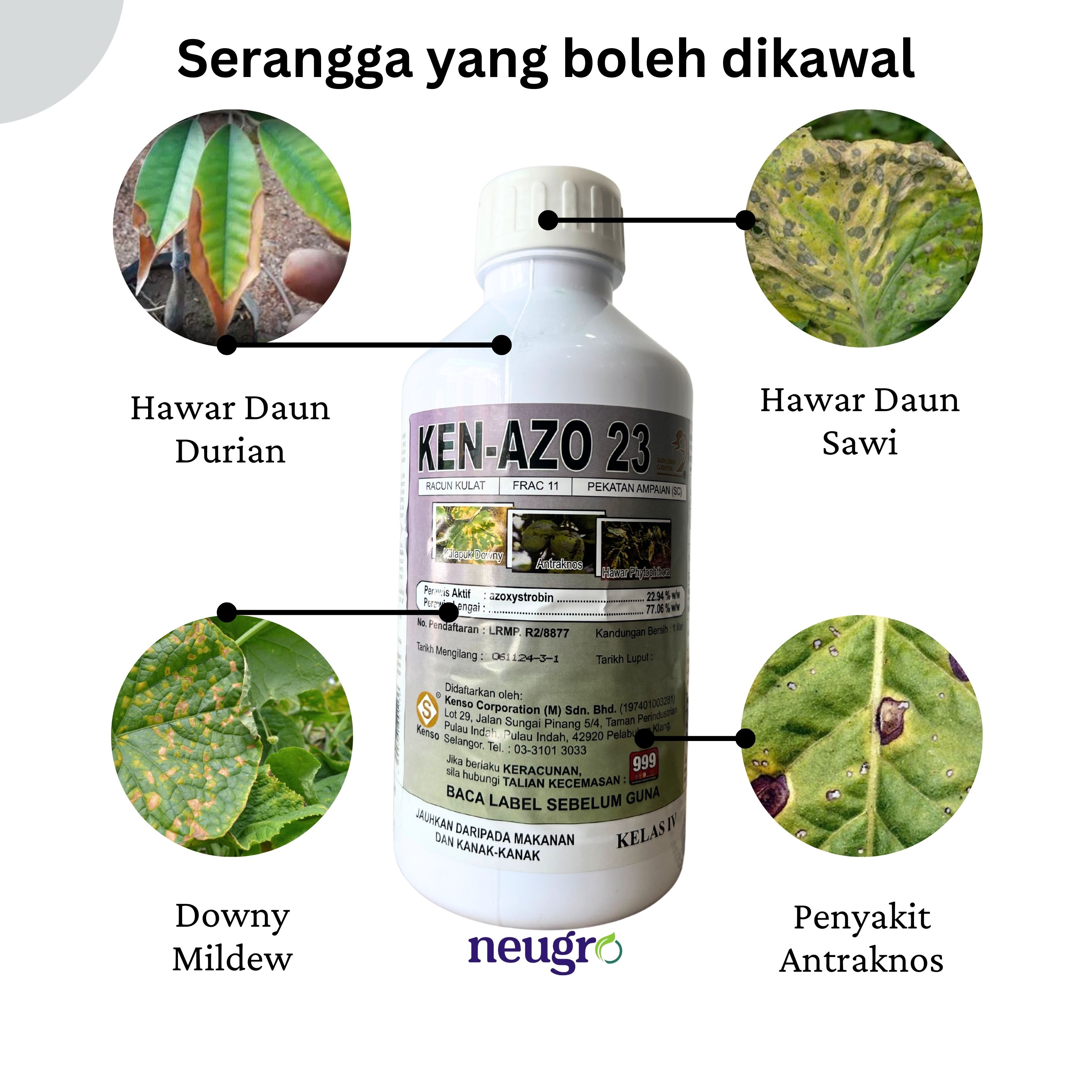 Kenso KEN-AZO 23 (1L) Azoxystrobin 22.94% -Racun Kulat Kulapak Downy ...