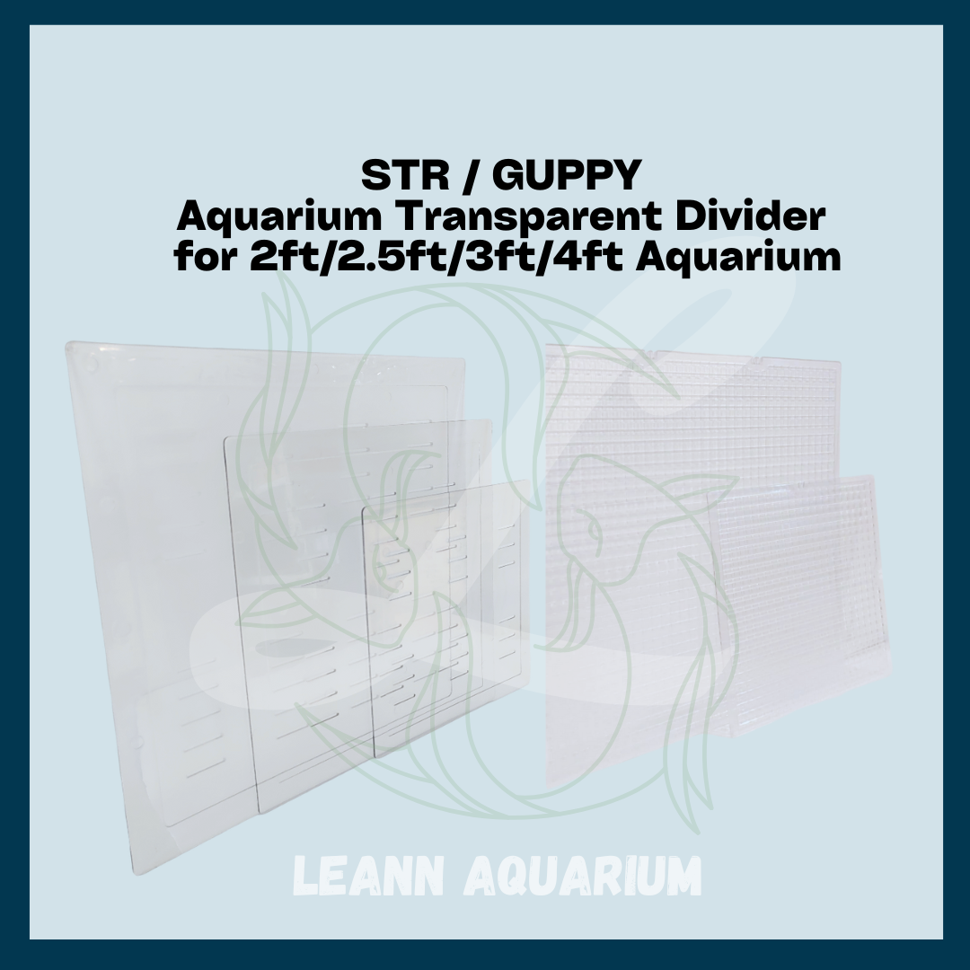 🔥HOT🔥 Aquarium Transparent Divider for 2ft/2.5ft/3ft/4ft Aquarium (STR ...