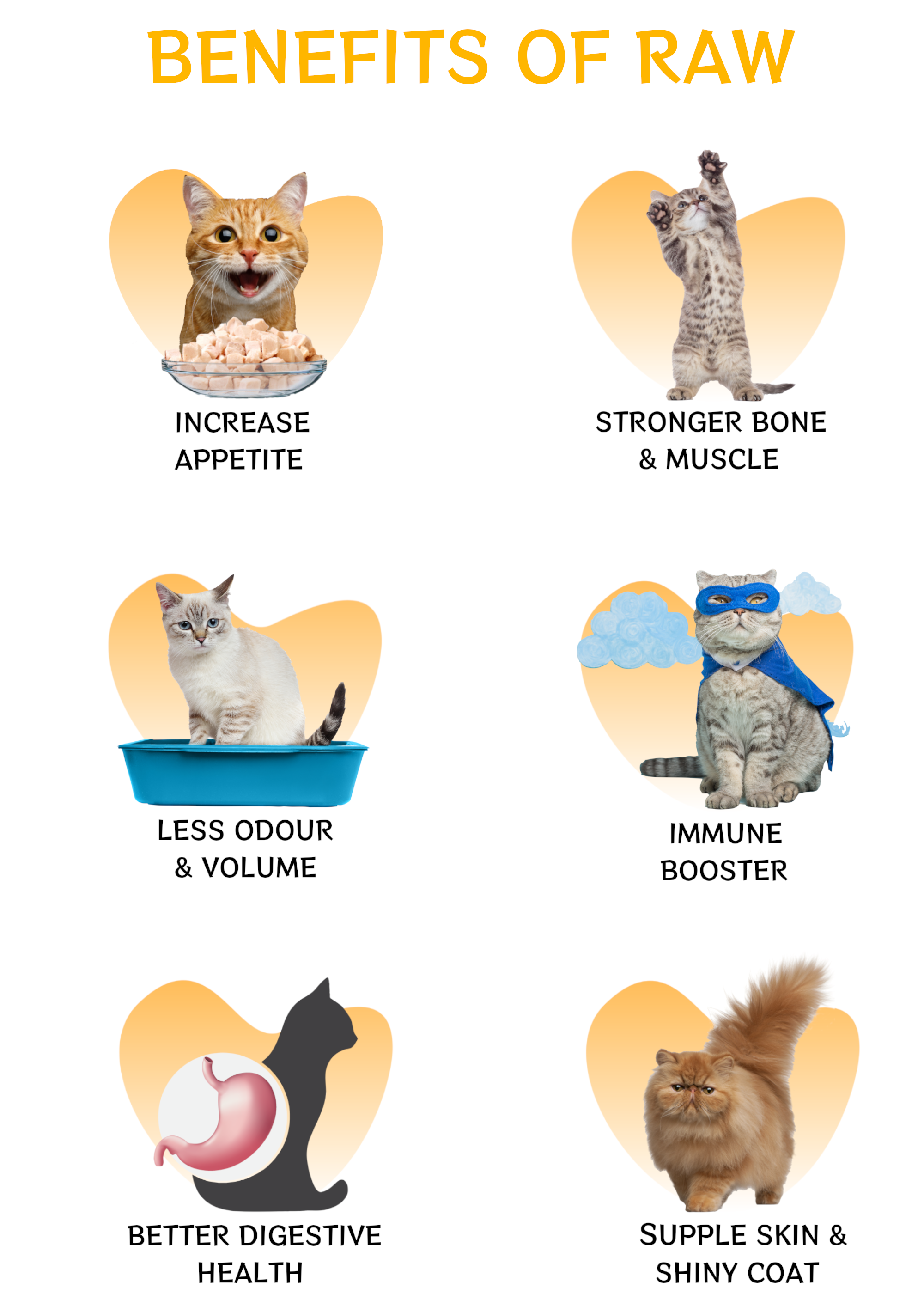 Grace Cat Hypoallergenic Treat for Cats & Dogs - Freeze-Dried Duck ...