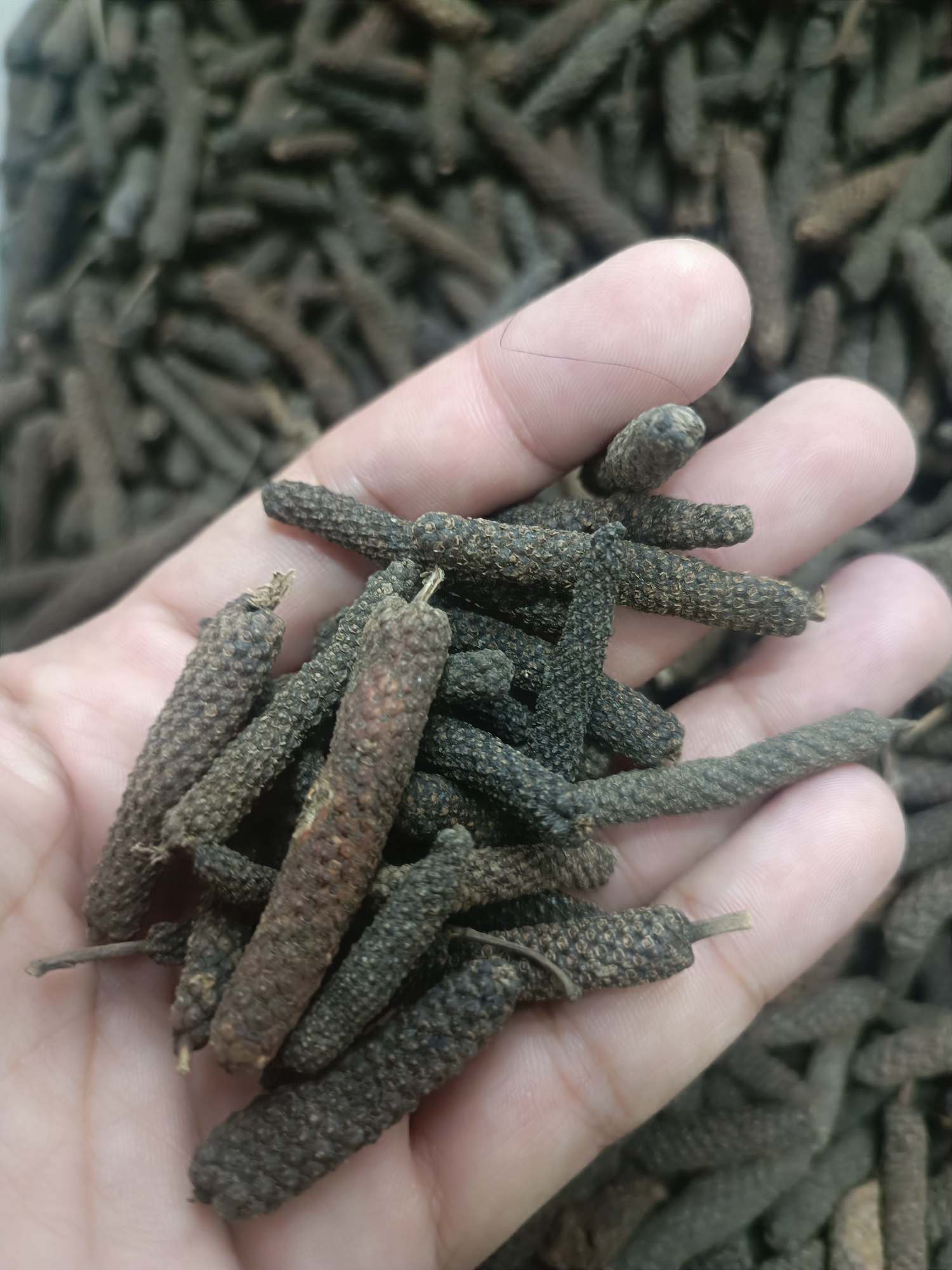 Bunga Pepper Jawa Spices Cabai Cabe Indian Long Pepper (100g/250g ...