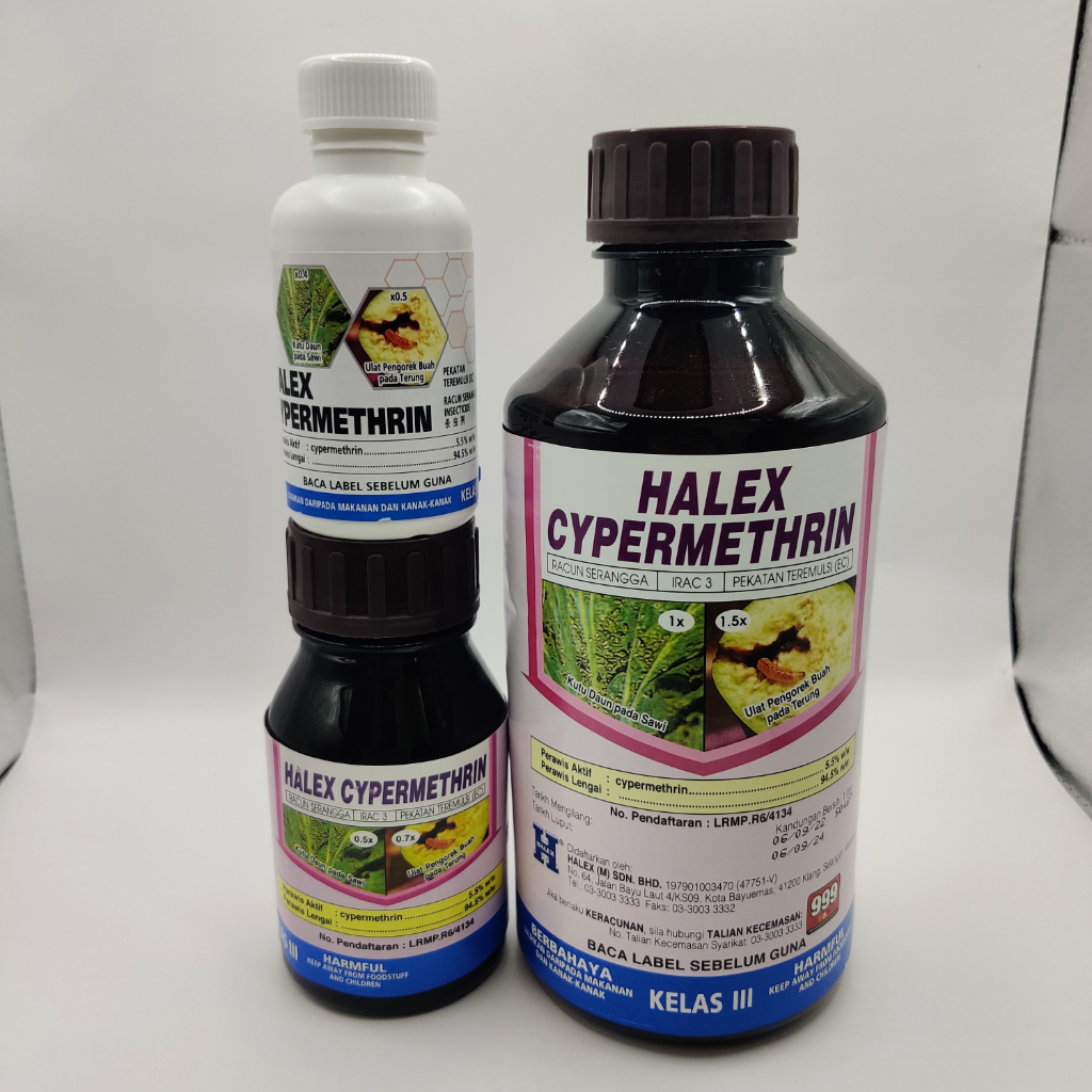 Racun Serangga ulat pengorek buah rama - rama atlas kumbang tanduk ulat ...