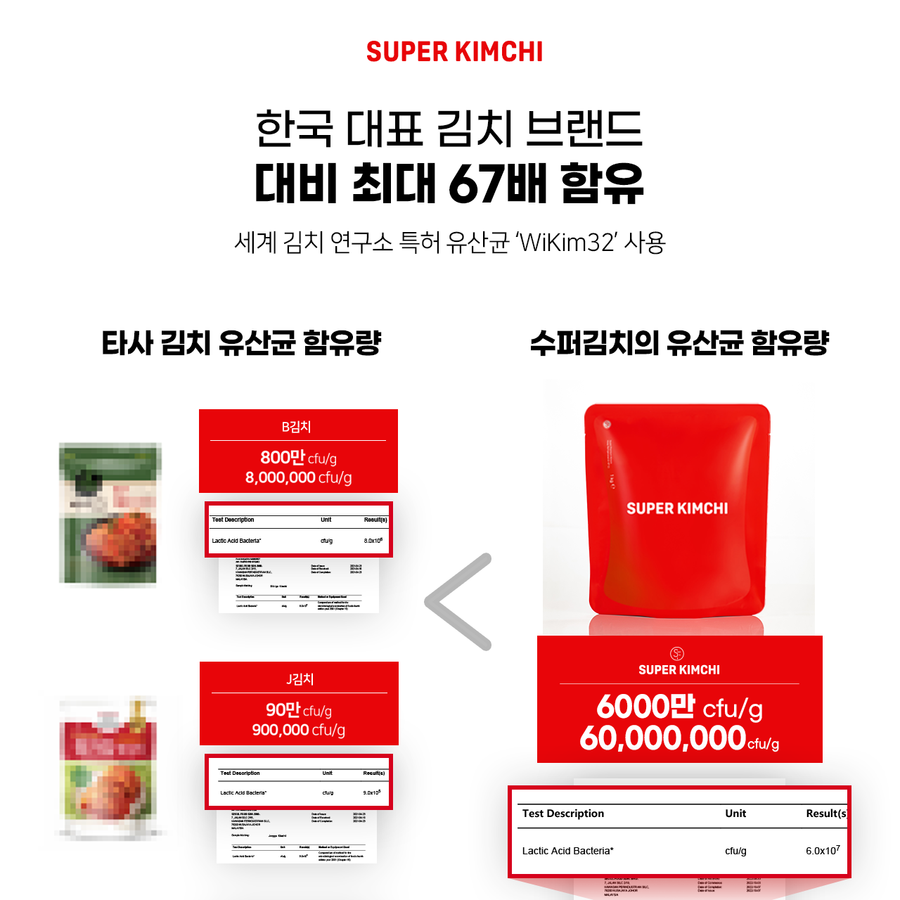 SUPER KIMCHI made by Koreans in Malaysia / Probiotic Kimchi / کیمچی ...