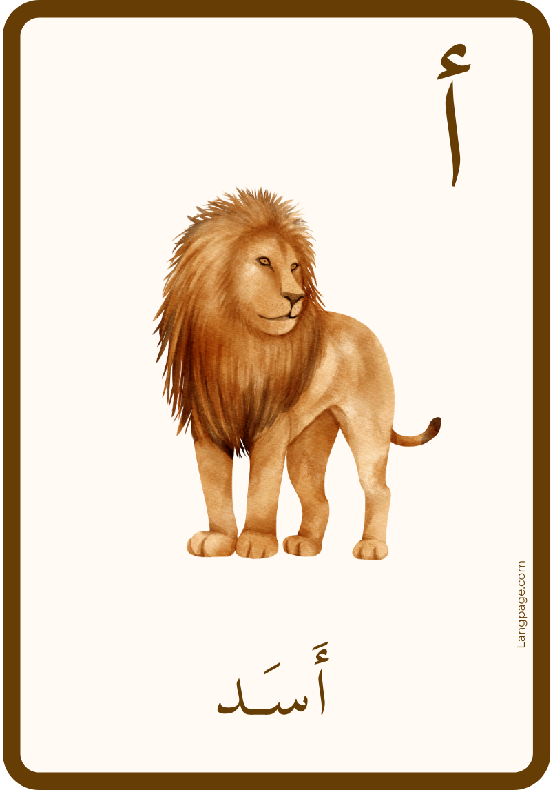 Arabic Animal Alphabet Flashcards | 28 PDF Cards | Real Animal Images ...