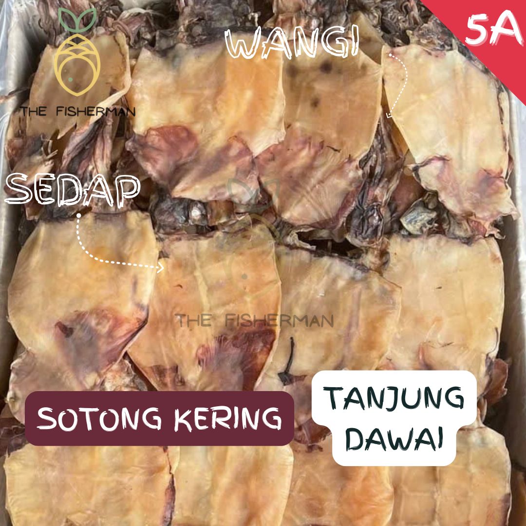 🔥Sotong Kering Tanjung Dawai Sotong Kering 1kg Besar Dry Cuttlefish Dry ...