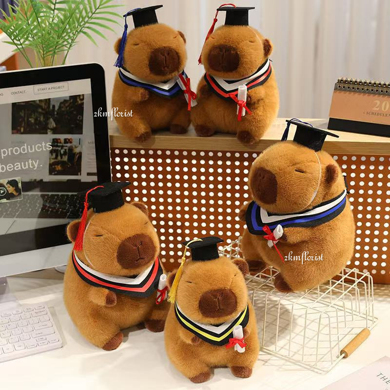 22CM CAPYBARA GRADUATION BEAR Plush Toy Cute Capibara Plushie Toy Anak ...
