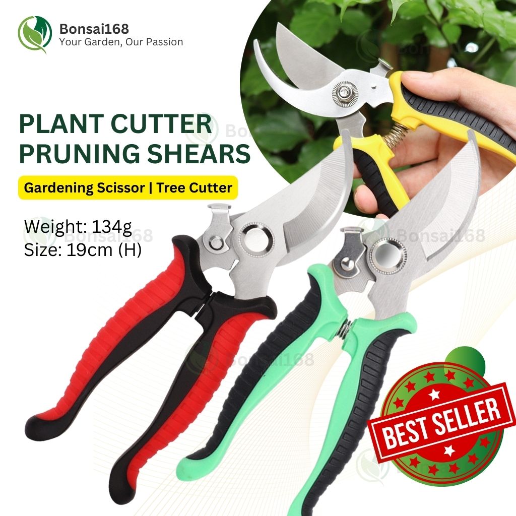 🔥Bonsai168🔥 Plant Cutter 修枝剪 – Pruning Shears & Garden Scissors ...