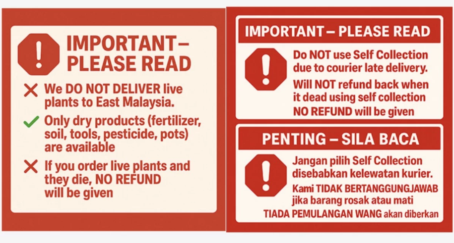 [Paling Horticulture Sdn Bhd] Ruta Graveolens Wangi 臭草 l Pokok Garuda l ...