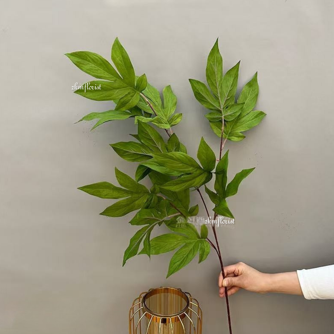 MAPLE LEAF ARTIFICIAL Silver Dollar Daun Eucalyptus Leaf Wedding ...