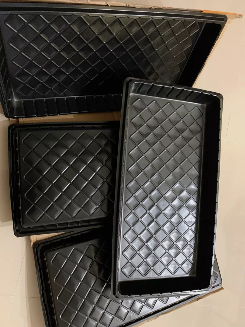 Tray Semaian 50 128 Holes Tray Plastic Nursery Tray Seedling Tray Bekas ...