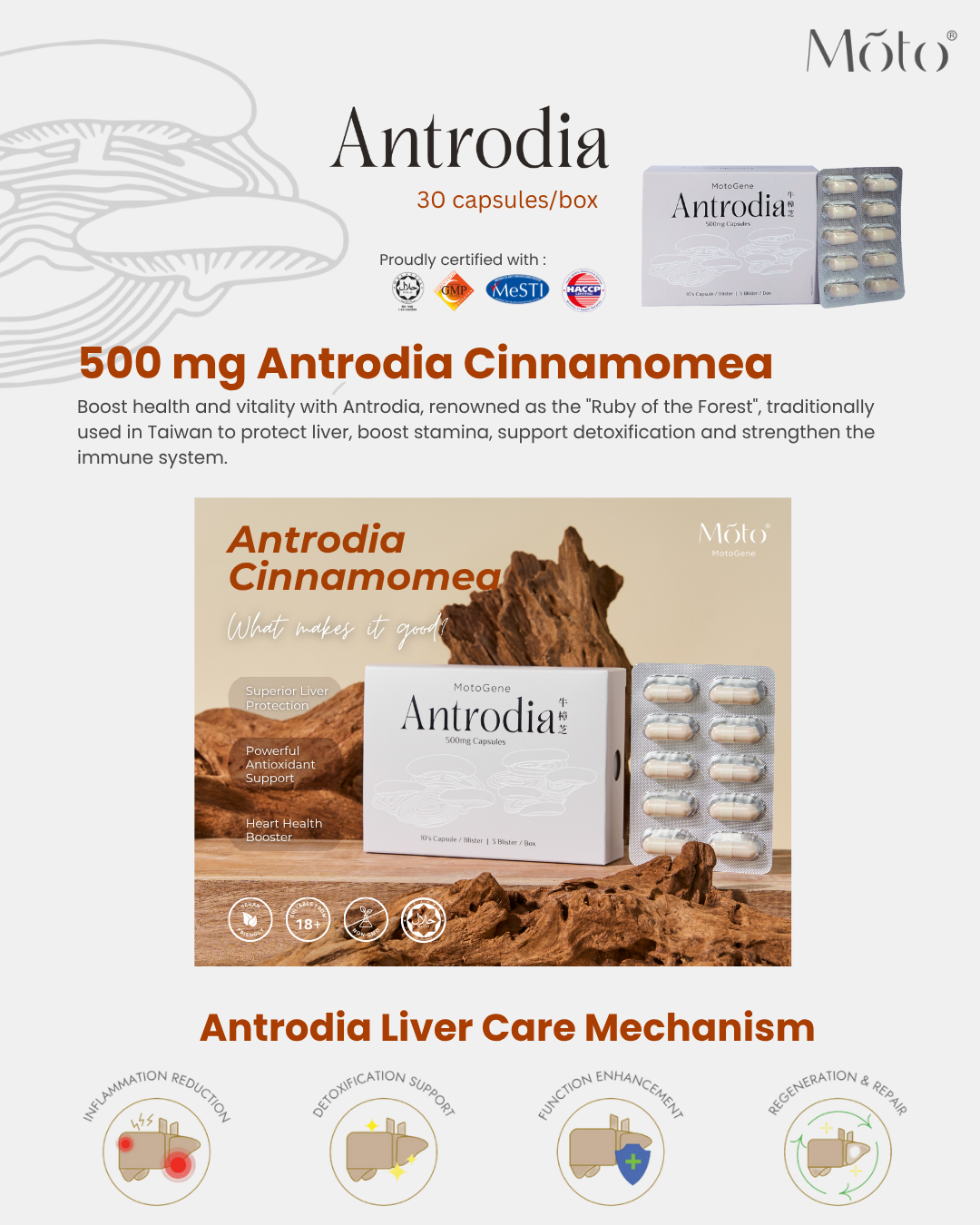 MotoGene Antrodia Cinnamomea Mycelium 500mg Capsule By Morimoto ...