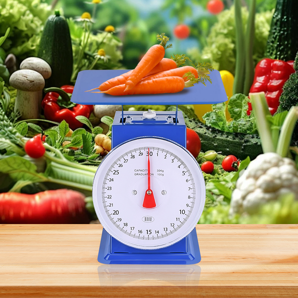 10 /30kg Penguin Spring Weight Scale Mechanical Balance Dial Flat Plate ...