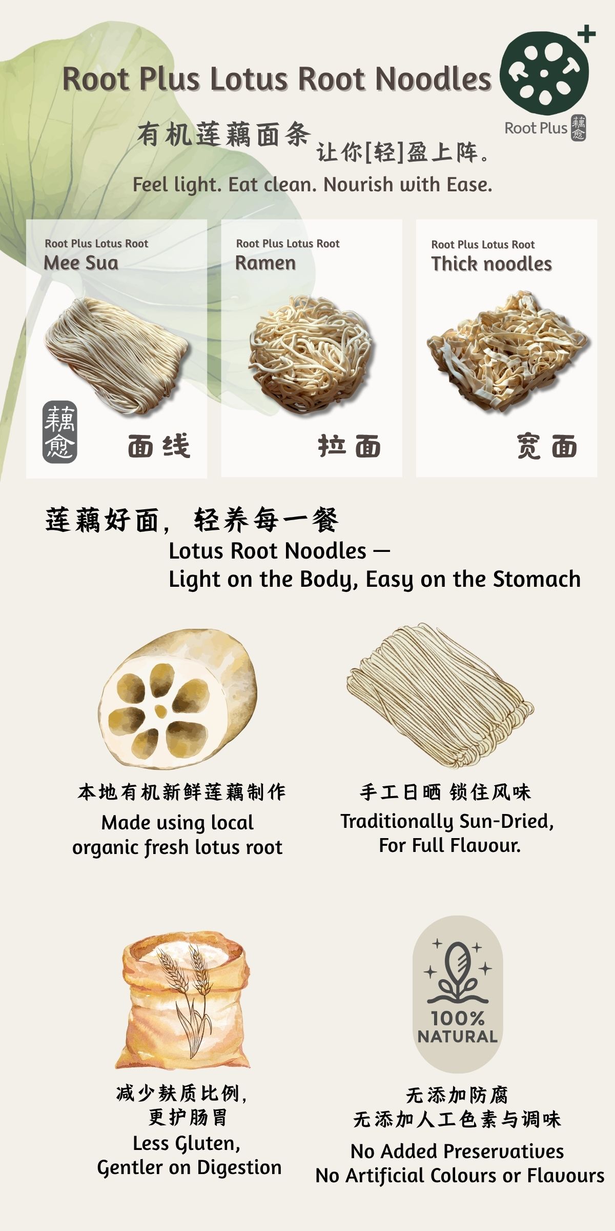 Lotus Root Noodles/Ramen/Mee Sua/Thick/Root Plus/Dried Noodles/Handmade ...