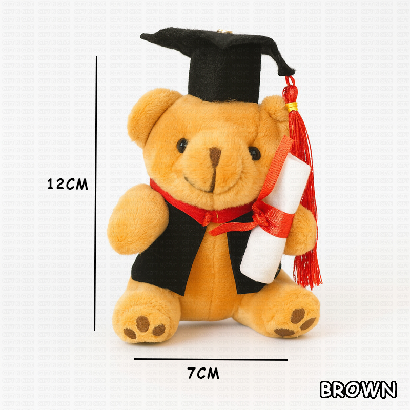 Graduation Bear Gift Plush Soft Toy School University Convocation ...