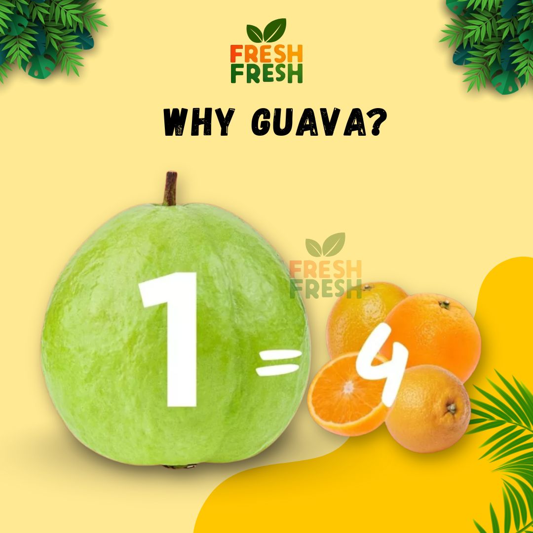 【Organic】Seedless Crystal Guava Fresh Fruit Buah organik Jambu Batu ...