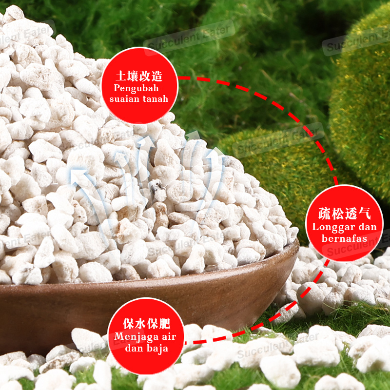 Perlite For Planting Leafy Plant, Flower, Cactus & Succulents (Natural ...
