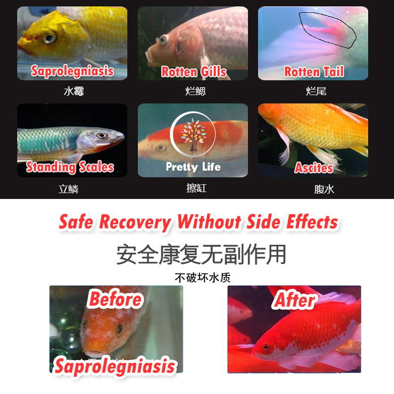 🐟New Stock 2025🐟 YEE Koi Fish Treatment Cure Parasites Diseases for ...