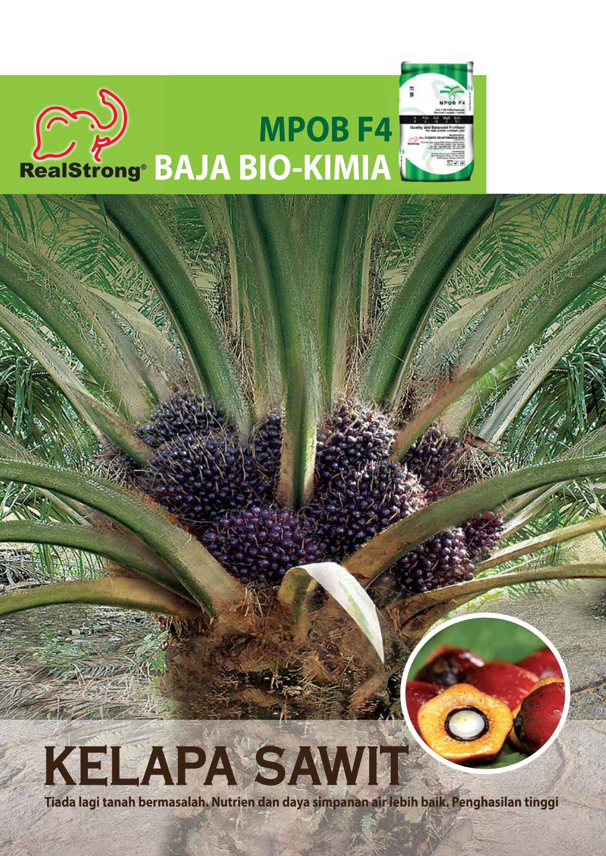 Real Strong Baja Bio-Kimia MPOB F4 Sebenar Baja Kelapa Sawit (NPKMB 9:6 ...