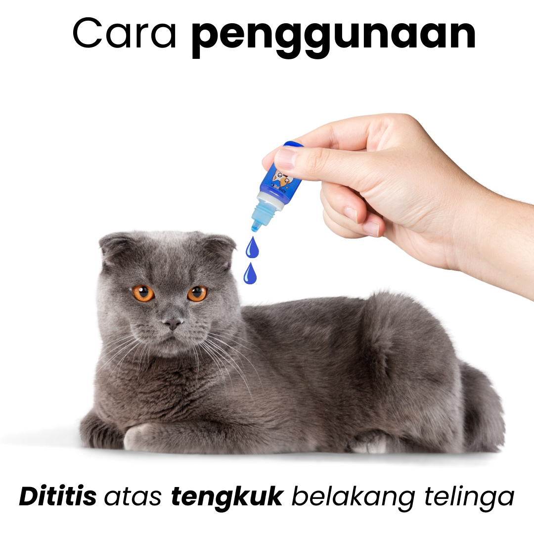KPSPro Ubat Kutu Kucing Cat Flea Cat Earmite Drop Ubat Kutu Telinga ...