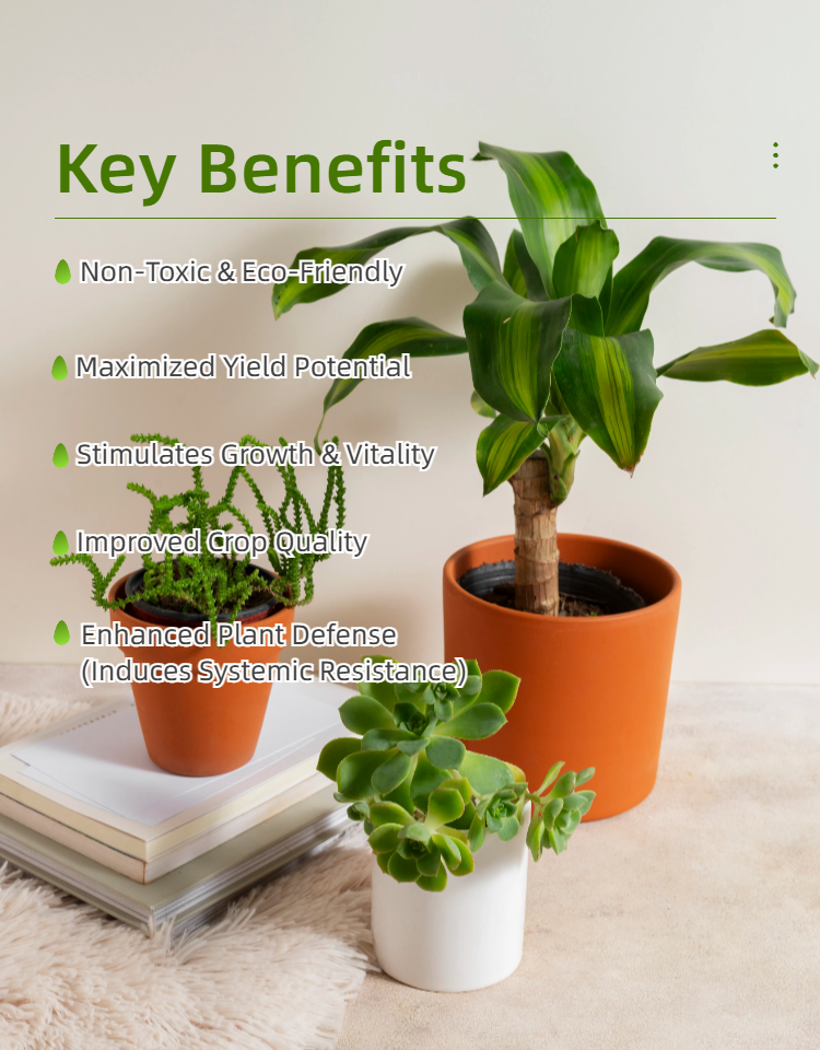 AGROSTAR Nutri Shield Protect And Enhance Your Plants From Fungal And ...