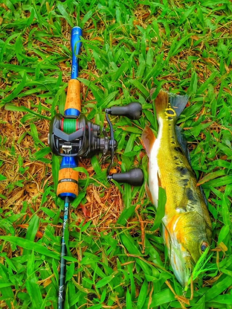 2025 EXTEND SHARK FORTY LIGHT SINGLE HAND ROD SHARK 40 TANTO GUNCAST ...