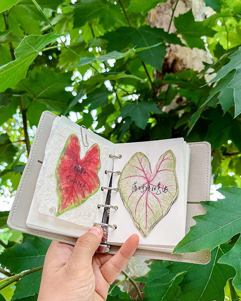 INS Botanical Tropical Green Leaf Sticky Notes Student School Office ...