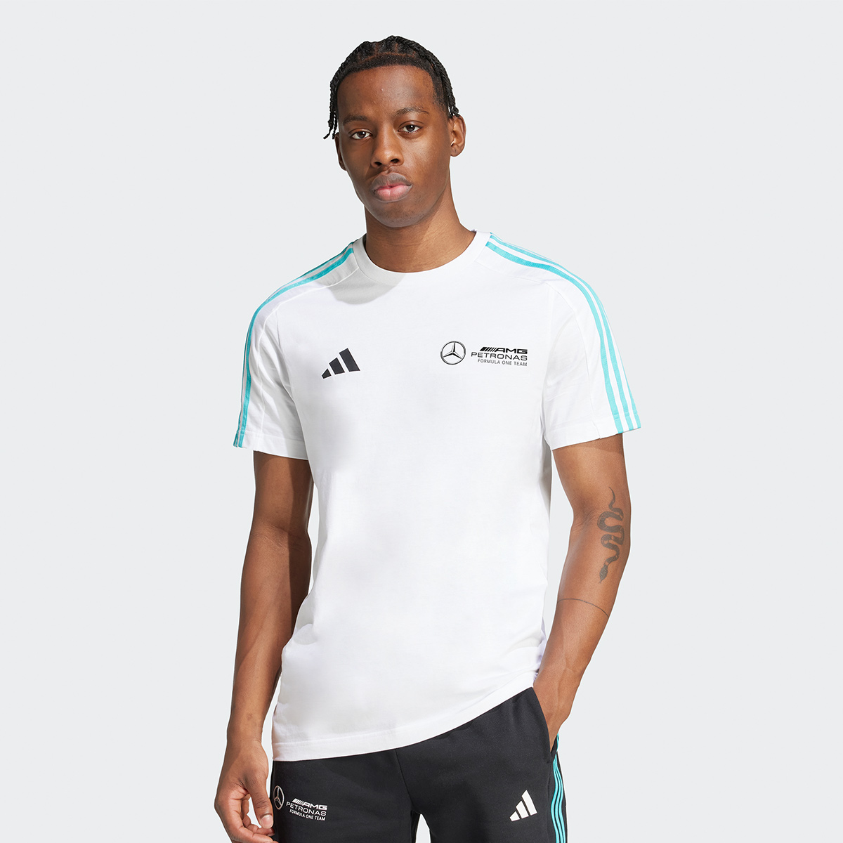 MERCEDES - AMG PETRONAS FORMULA ONE TEAM DNA TEE MEN - WHITE | Shopee ...