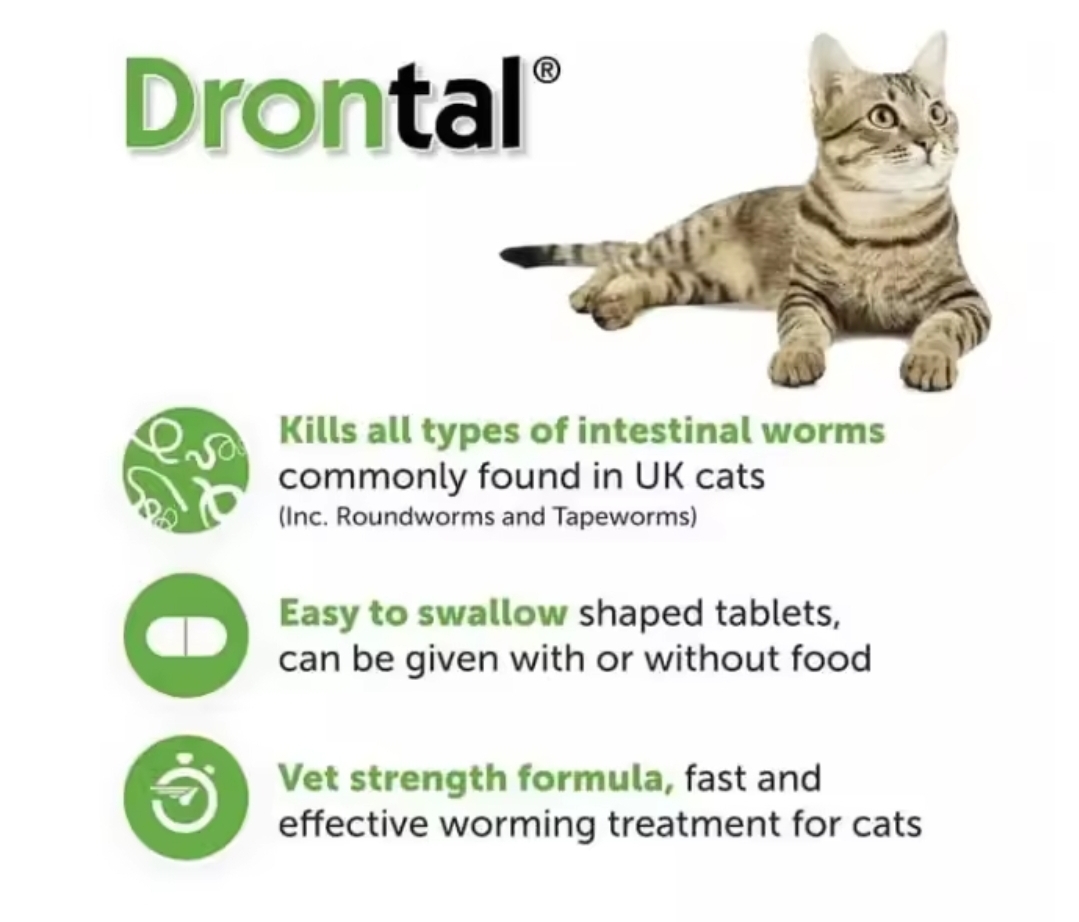 ORIGINAL ELANCO Cat Drontal(Deworm) Tablet Ubat Cacing Kucing -1 Tab ...