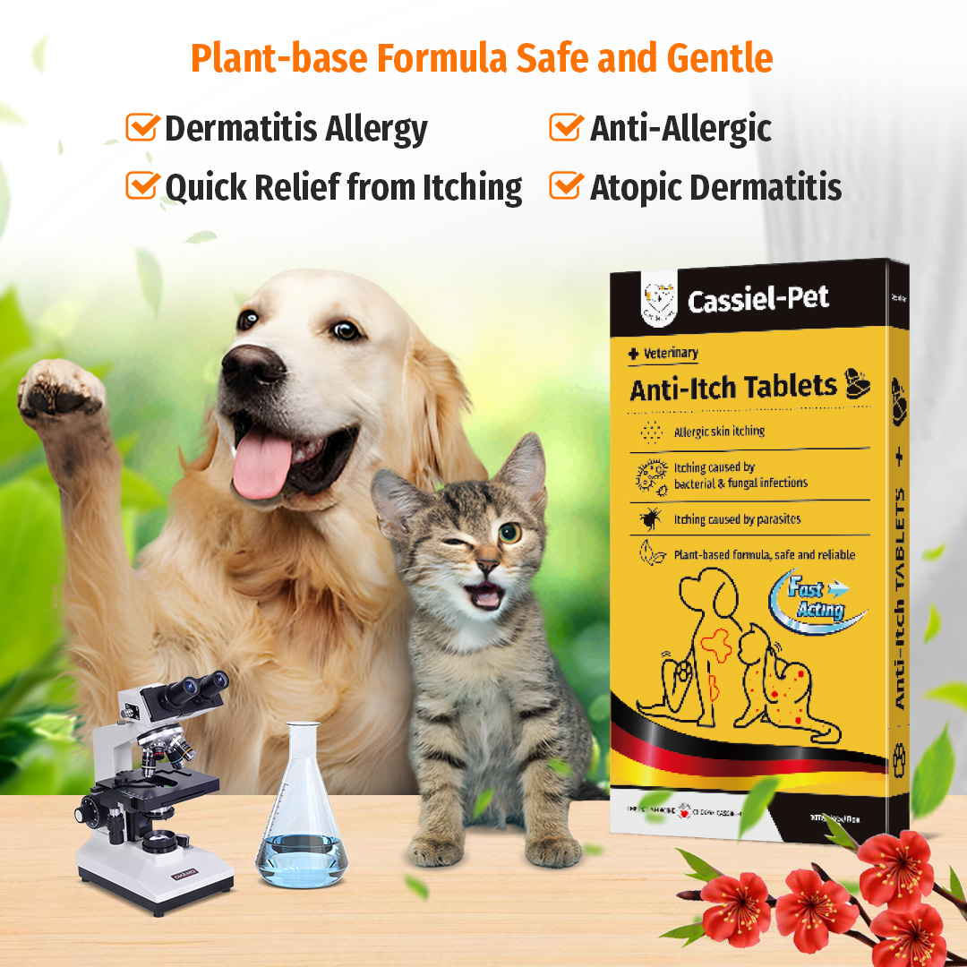 Cassiel Pet Anti Itching Medicine Ubat Gatal Kucing Skin Allergy Eczema ...