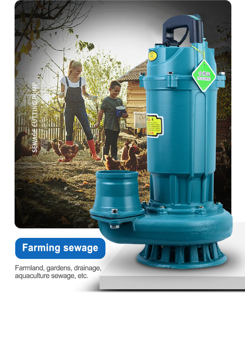 Sewage Submersible Pump Heavy Duty 220V/1000W Stainless Steel ...