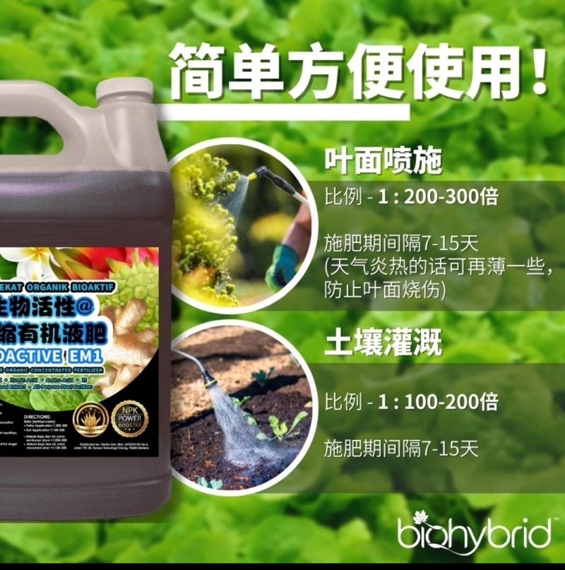 BIOACTIVE EM1 Seaweed Bio-Organic Liquid Fertilizer 5L 海藻活性生物有机肥 Foliar ...