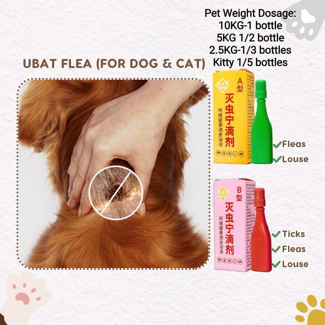 (10pcs) Ubat Kutu Kucing Cat Flea And Tick Treatment Medicine Ubat Kutu ...