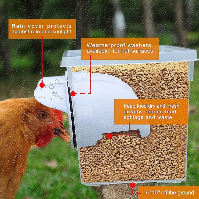 Chicken Feeder Rain Proof Poultry Automatic Feeder No Waste | Shopee ...