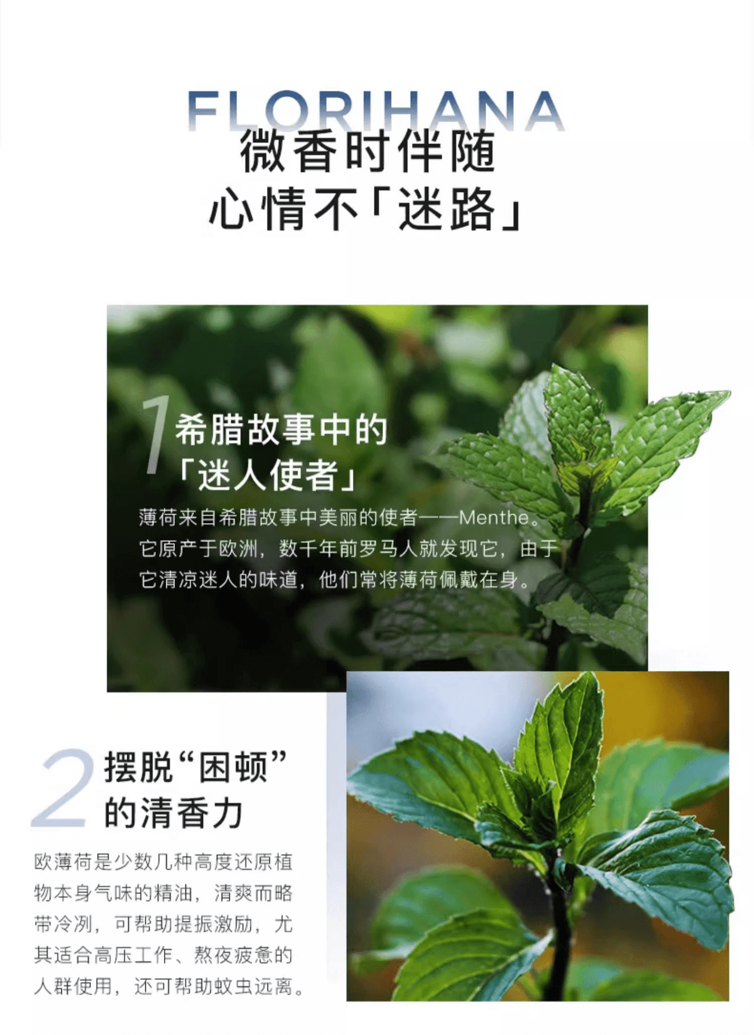 FLORIHANA Peppermint Organic Essential Oil 胡椒薄荷（欧薄荷）精油 France Imported ...