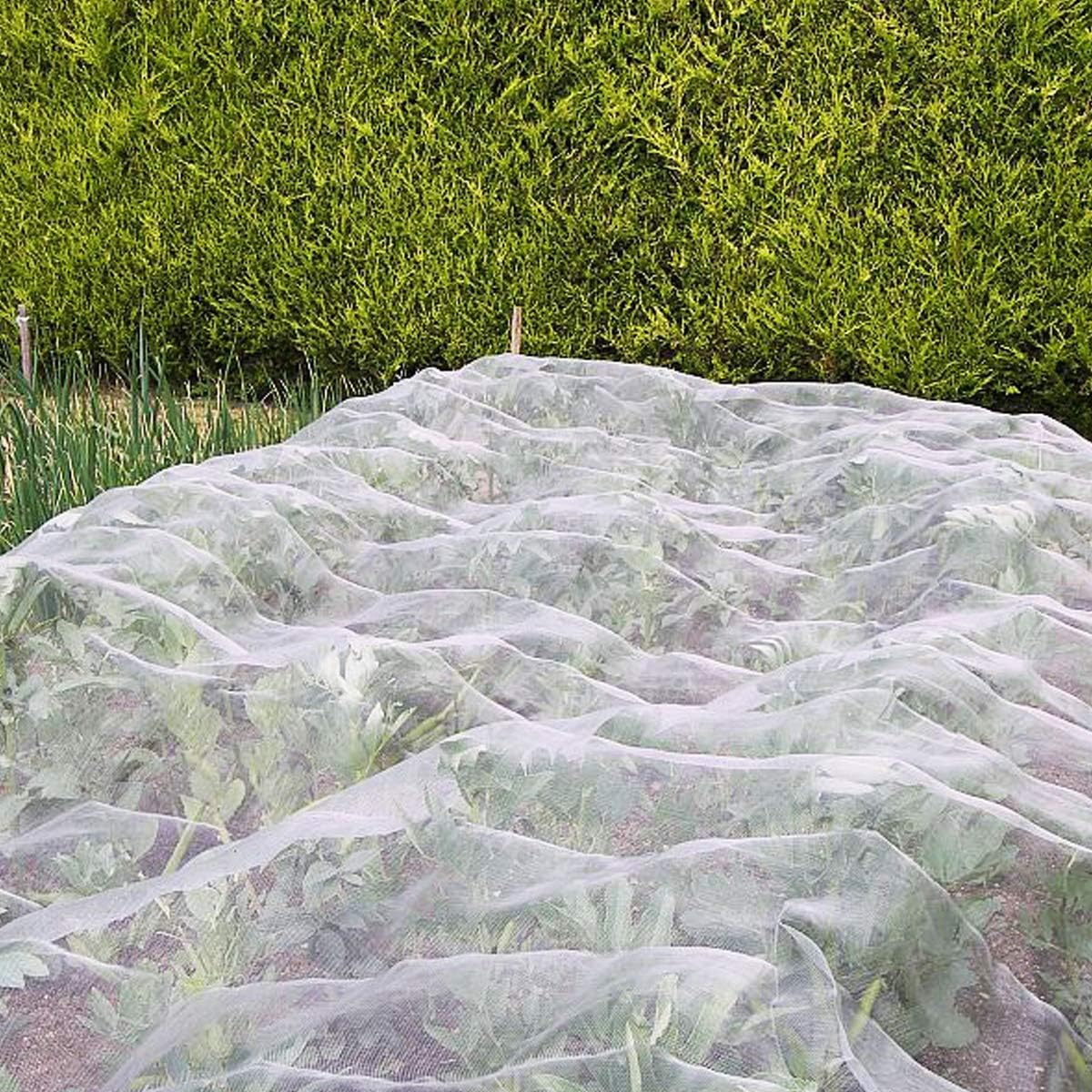 Jaring Tanaman Insect Net Jaring Serang Protective Net Fruit Net Plant ...