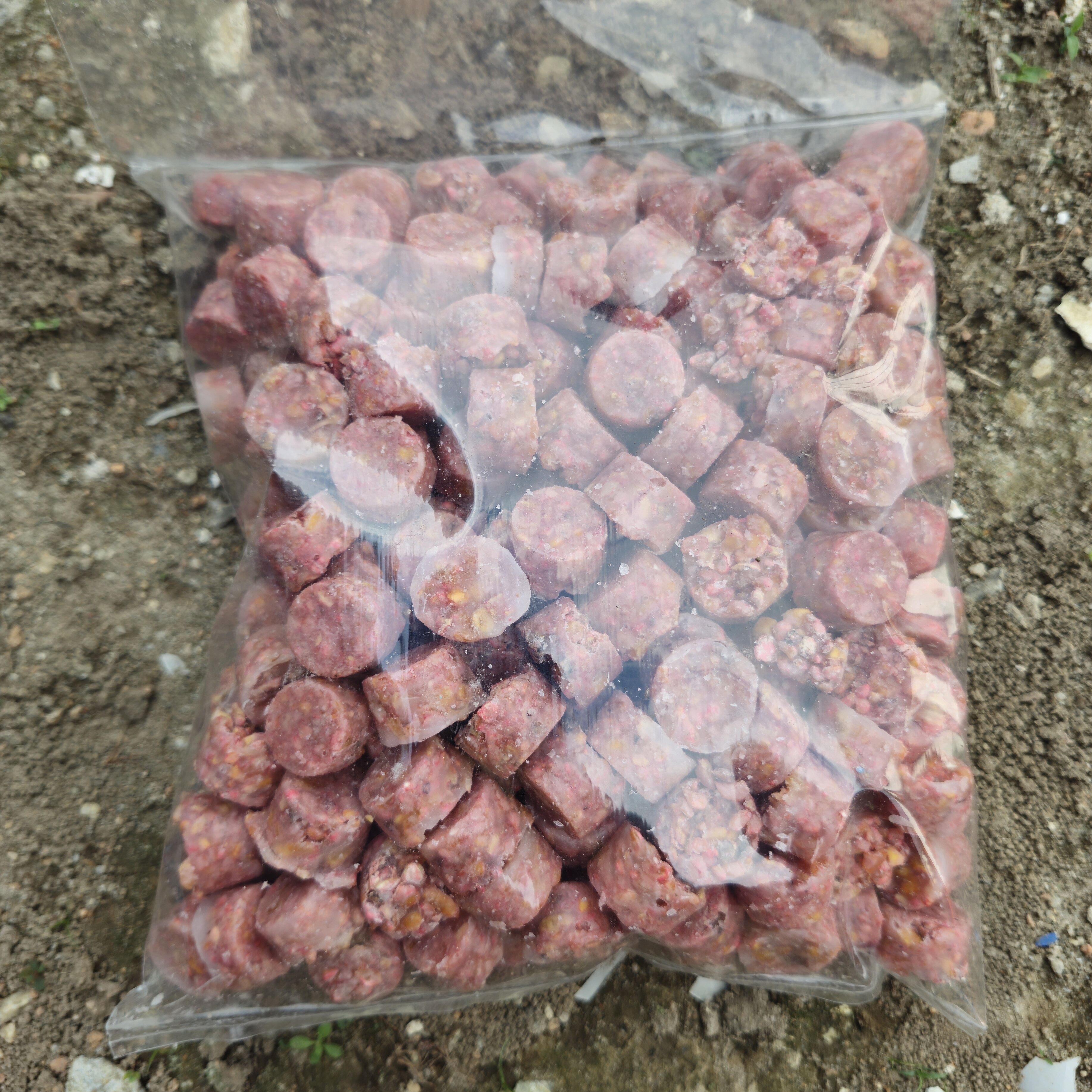 Racun Tikus Matikus 50g Ultra effective rodenticide bunuh mouse mice ...