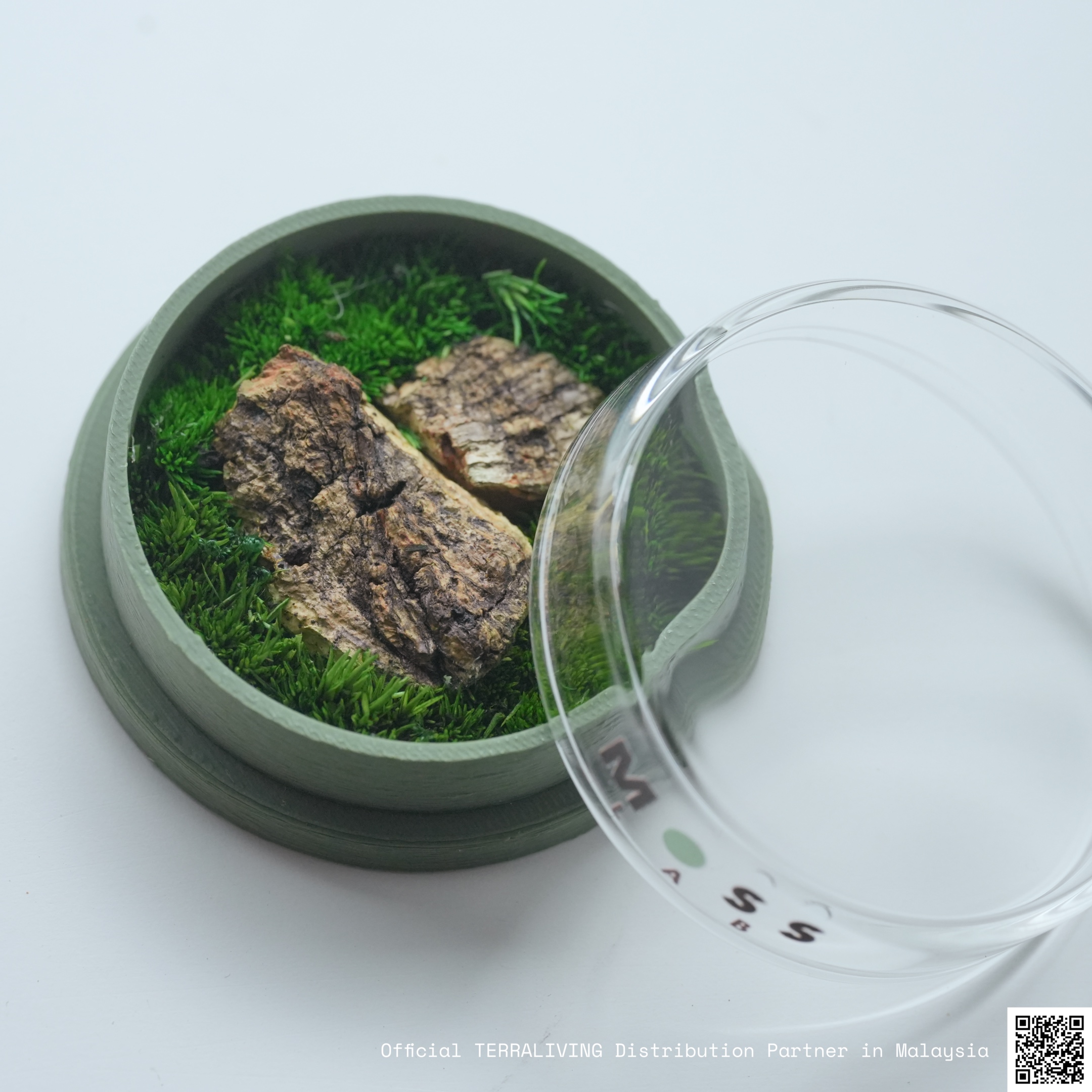 [Preserved Moss Terrarium] The Moss Core - S, Official Licensed ...