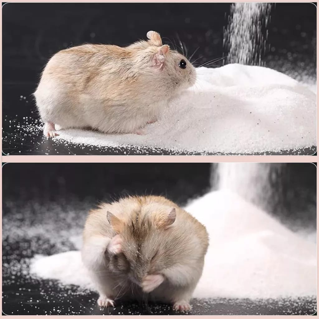 Hamster Bathing Sand Emily Pets Bathing Sand For Small Animal /R & M ...