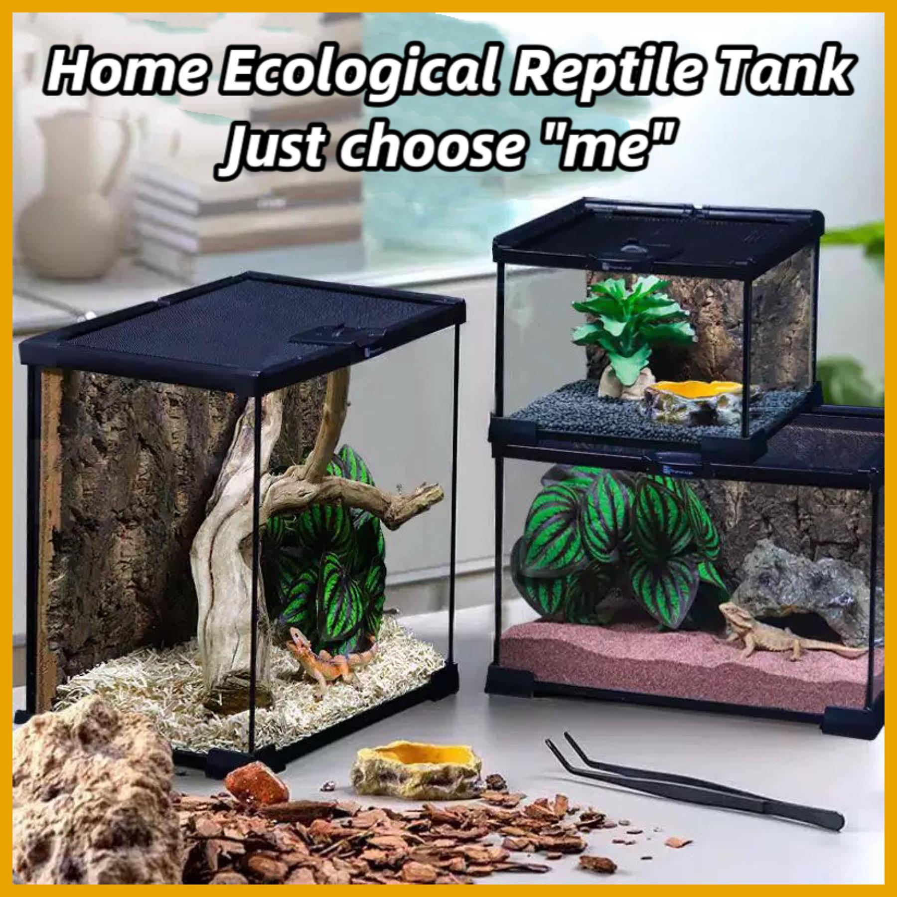 Box Special Climbing Tank for Climbing Pets Tortoise Fish Tank Beetle ...