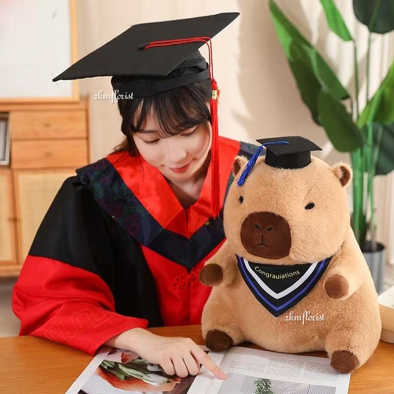 22CM CAPYBARA GRADUATION BEAR Plush Toy Cute Capibara Plushie Toy Anak ...