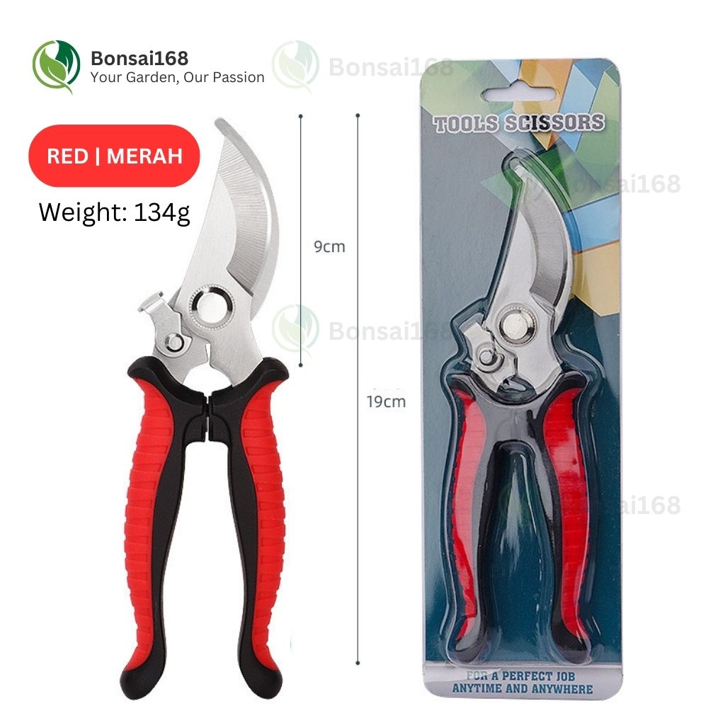 🔥Bonsai168🔥 Plant Cutter 修枝剪 – Pruning Shears & Garden Scissors ...