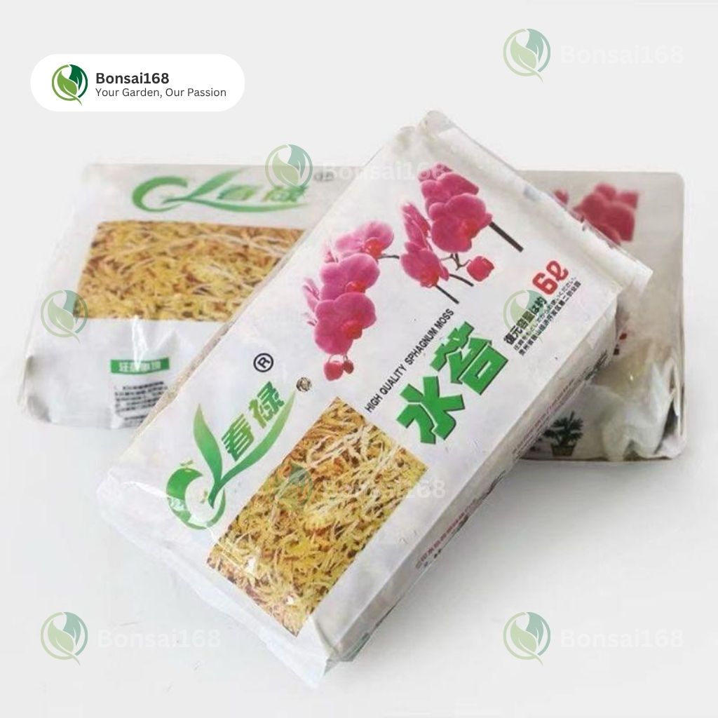 🔥Bonsai168🔥12L Premium Sphagnum Moss (150g) Houseplants |Lumut Sphagnum ...