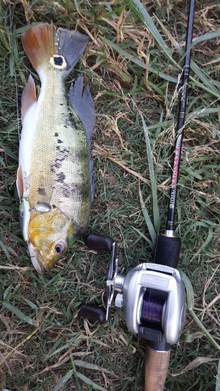 ZEREK NAGINATA ROD CASTING AND SPINNING MODELS | Shopee Malaysia