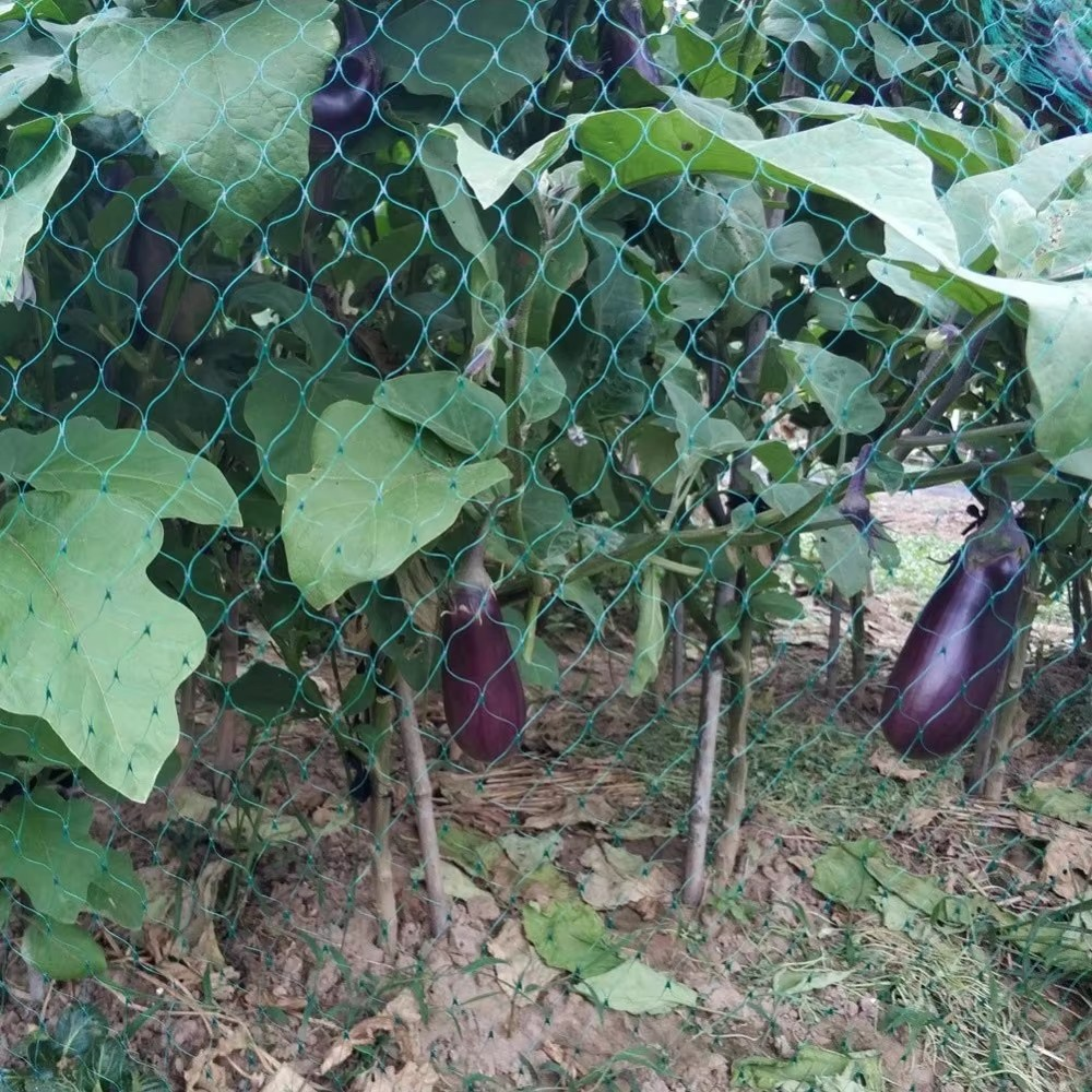 Cut : (2M,5M,10M,20M) 12 Pukat Baru PE Poly Net Pukat Laut Pukat ...